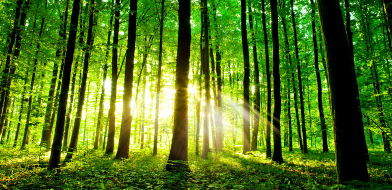 About Us | EBI, LLC - World Class Furniture Manufacturer